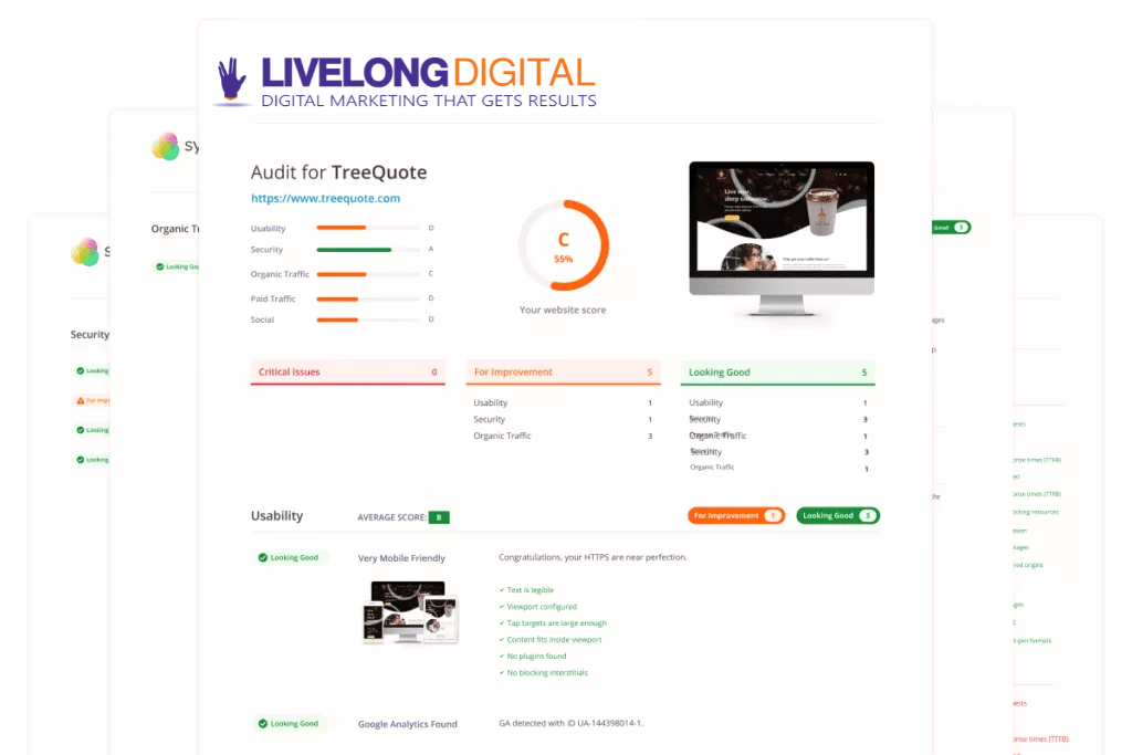 Total Online Presence Audit | Livelong Digital